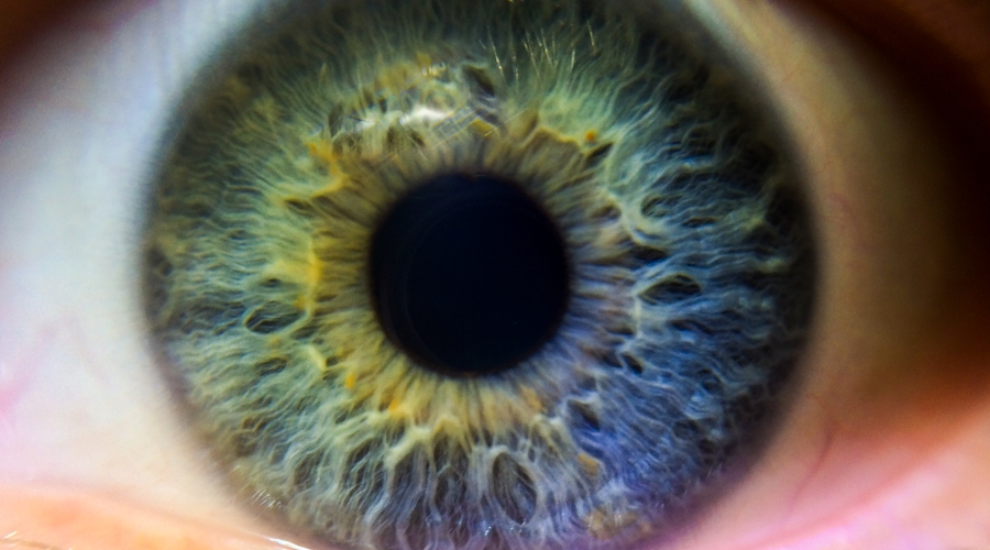 Como cuidar dos seus olhos - Instituto Ahau - Terapeutas Especializados